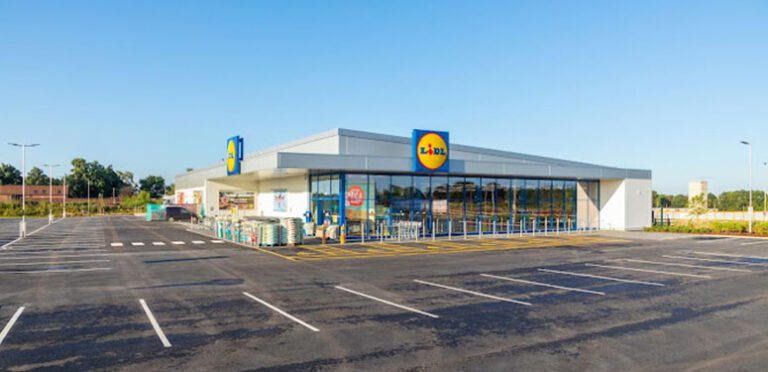 New Lidl store at Broadland Gate, Norwich - Pigeon