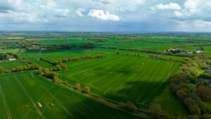 Strategic Land Promotion - Pigeon